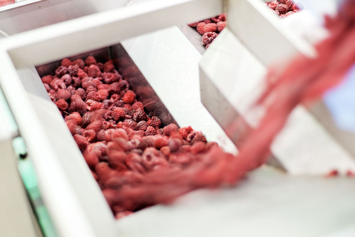 IQF Fruits and Vegetables Explained (IQF and food sustainability in the F&B Industry) - IQFOODS