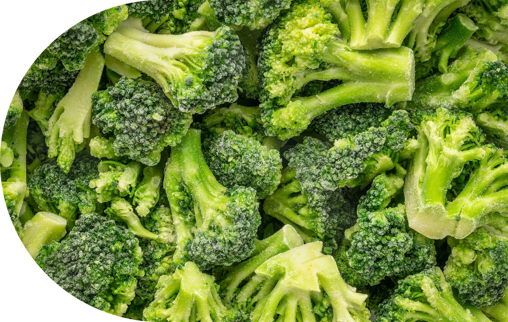 IQF FOODS: Supplier of Individual Quick Frozen Foods